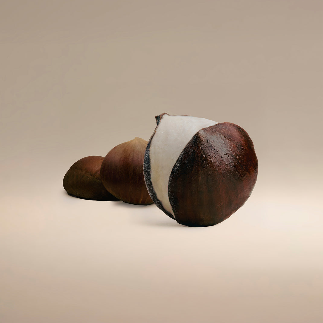 Fruttini Gelato® - Antica Gelateria Matteo – Fruttini® Gelato