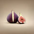 All our Fruttini® Ice Cream – Fruttini® Gelato